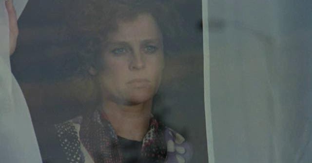 Inside/Outside: Surviving Life